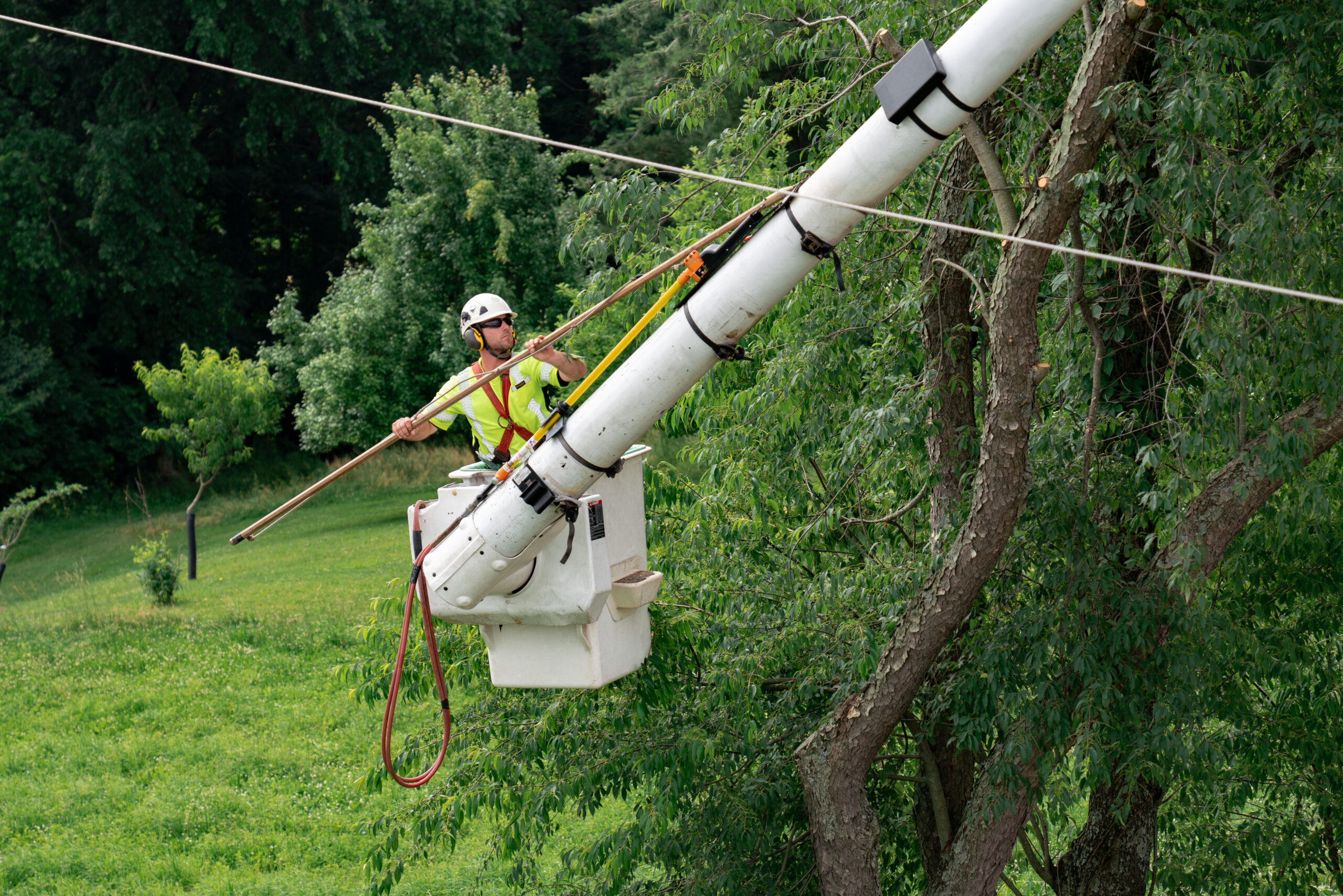 Clearing the Path for Reliable Service - AEP Ohio Wire
