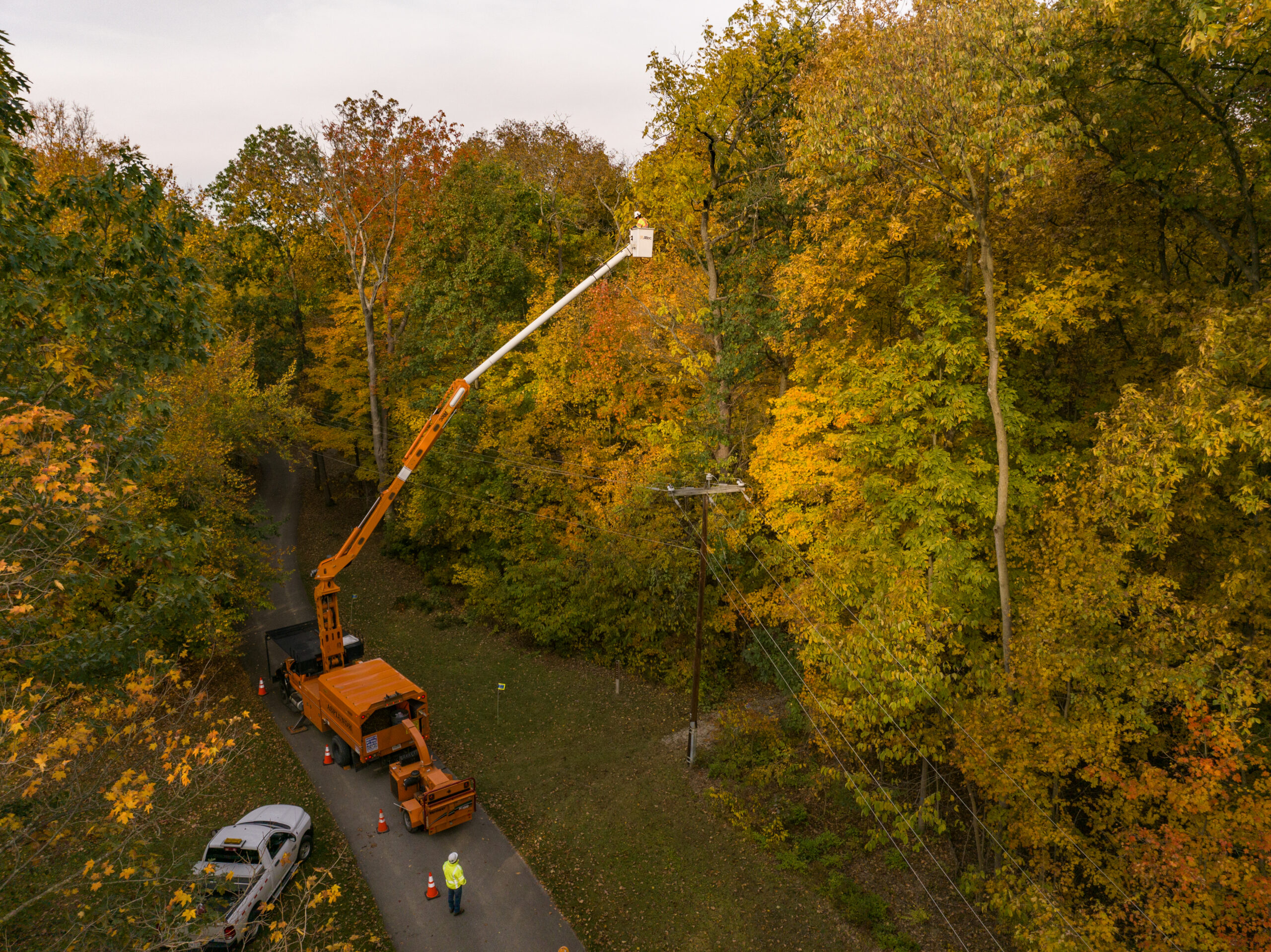 How Proactive Forestry Work Helps Keep Your Power On - AEP Ohio Wire